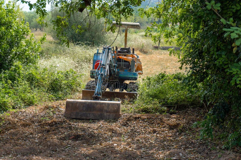Excavator Working on Sandy Ground Surrounded by Trees Stock Image ...