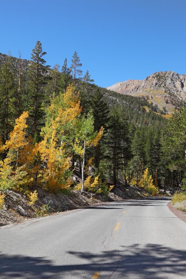 Excellent with Red Asphalt Road Stock Image - Image of sandstone, line ...