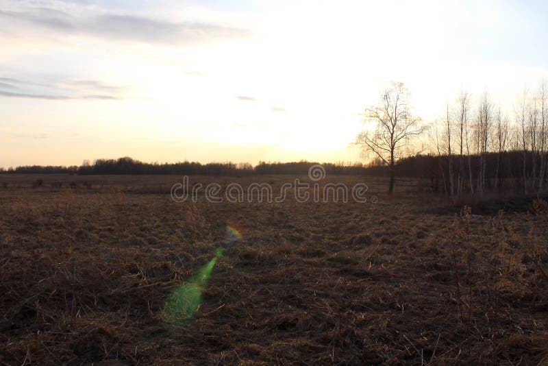 Spring Nature on a Warm April Evening Stock Photo - Image of ...