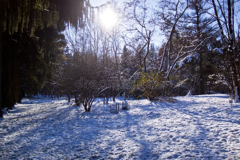 Excellent Mood in the Park in Sunny Warm Weather Stock Image - Image of ...