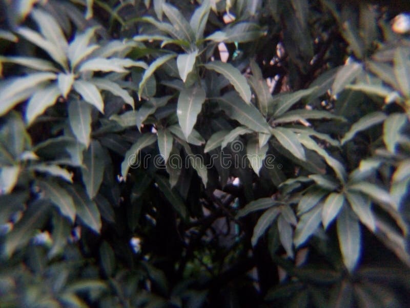 Excellent Pics stock image. Image of excellent, zoom - 148804773