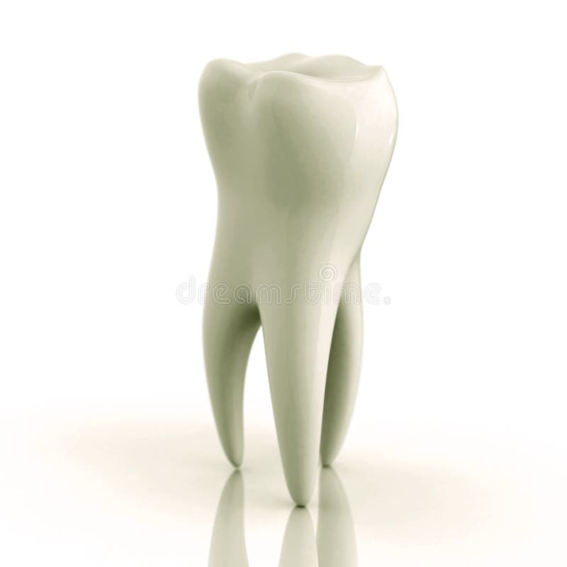 Excellent White Tooth on a White Background Stock Illustration ...