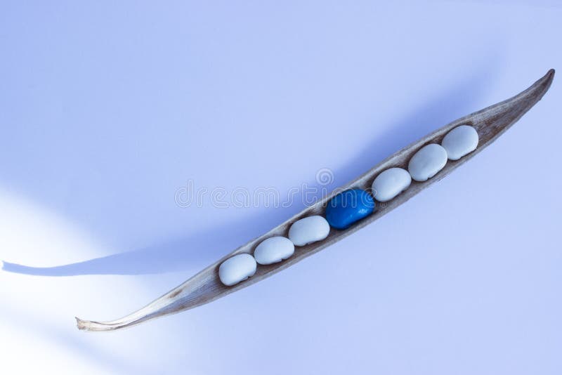 Exceptional Beans in the Pod Stock Image - Image of method, design ...