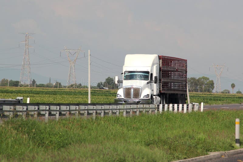 Excessive Trailers Circulate on the Road Causing Accidents and Traffic ...