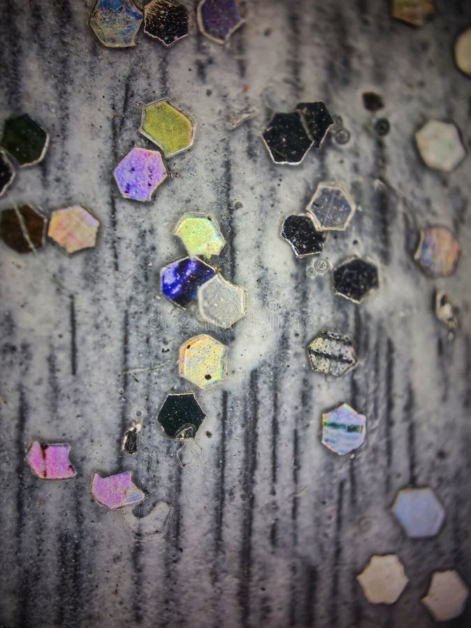 Macro Photo of Christmas Decorations Under a Microscope Stock Photo ...