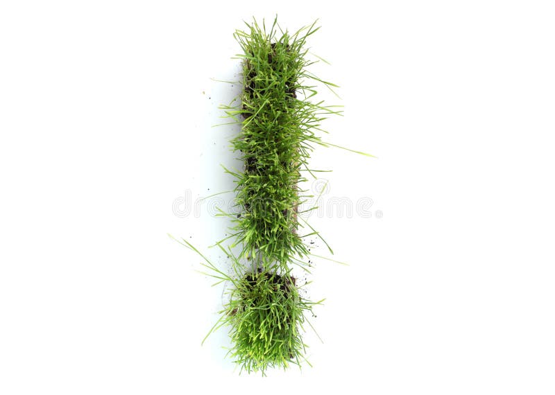 Exclamation mark stock photo. Image of plant, season, design - 9048278