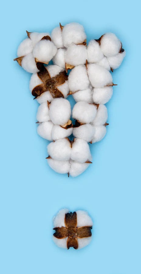 Exclamation Mark Flower Alphabet Stock Photos - Free & Royalty-Free ...