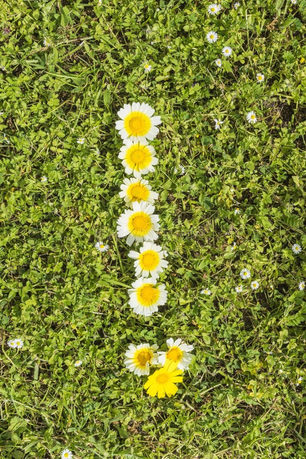 156 Flower Exclamation Stock Photos - Free & Royalty-Free Stock Photos ...