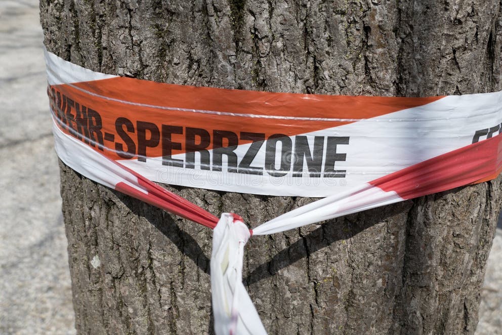 Exclusion zone on a tree stock image. Image of tree - 244265399