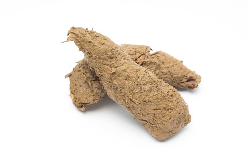 Excremento falso foto de archivo. Imagen de nationhood - 61629070