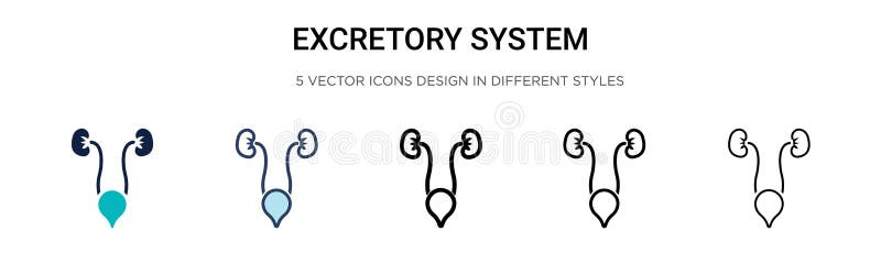 Excretory System Icon in Filled, Thin Line, Outline and Stroke Style ...