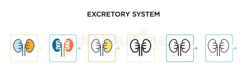 Colored Excretory System Icons Stock Illustrations – 8 Colored ...
