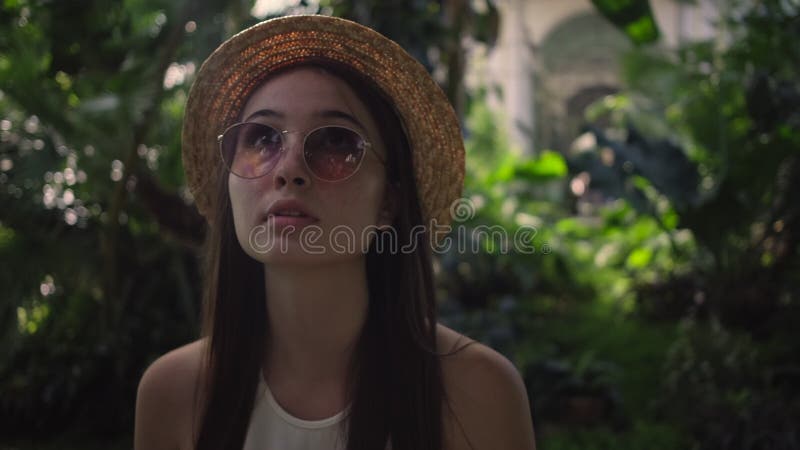 Excursion Inside Big Botanical Garden Stock Video - Video of shrubs ...