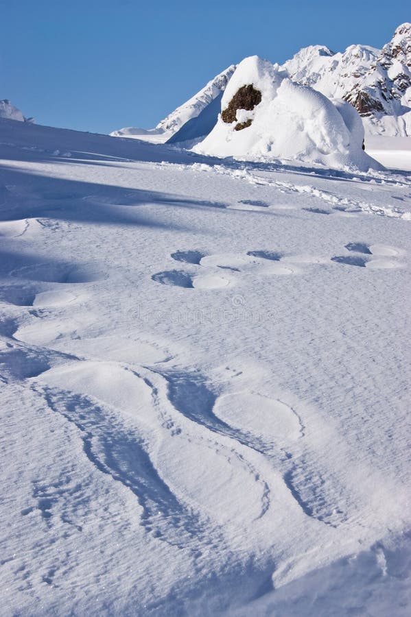 Excursion on the Snowy Paths Stock Photo - Image of land, climbing ...