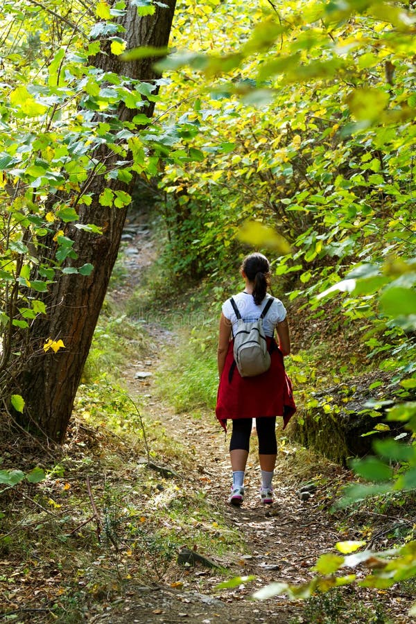 Excursionist stock photo. Image of person, park, europe - 27226244