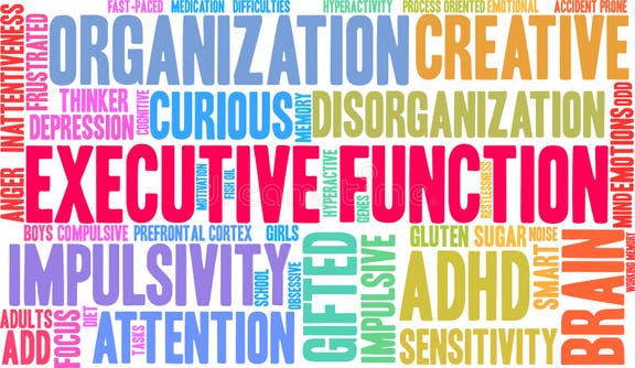 Brain Executive Function Stock Illustrations – 979 Brain Executive ...