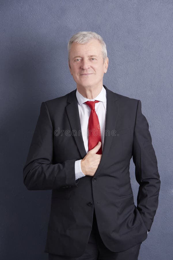 Executive manager portrait stock photo. Image of suit - 88123004