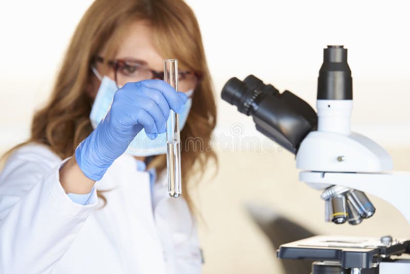 Lab testing stock image. Image of laboratory, clothing - 106219527