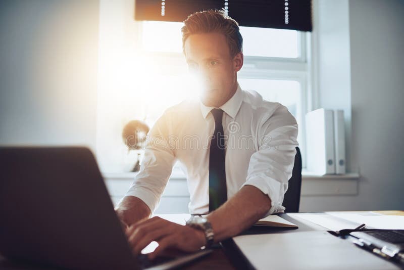 Executive Working on Laptop Stock Image - Image of businessperson ...