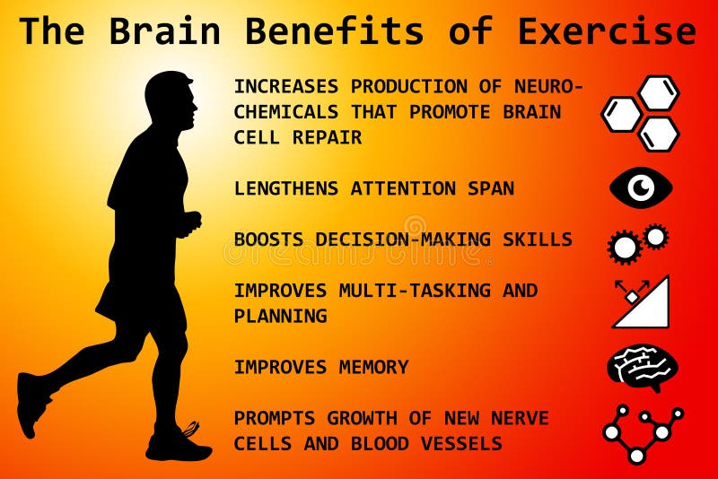 Benefits Of Running On The Brain And The Nervous System Store ...