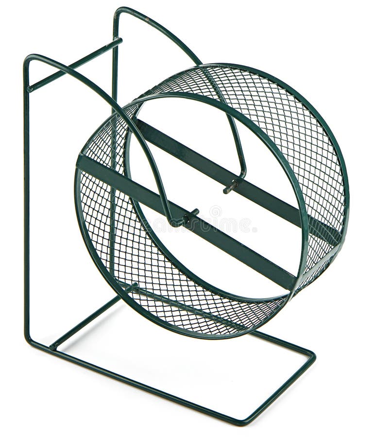 Rodent Exercise Wheel Isolated on White. Stock Image - Image of mouse ...