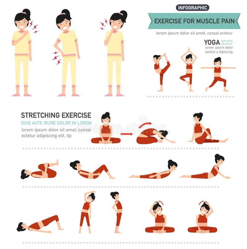 Exercise for Muscle Pain Infographic Stock Vector - Illustration of ...