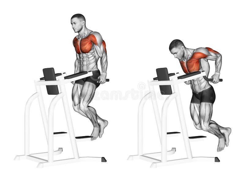 Exercising. Dips in the Simulator Stock Illustration - Illustration of ...