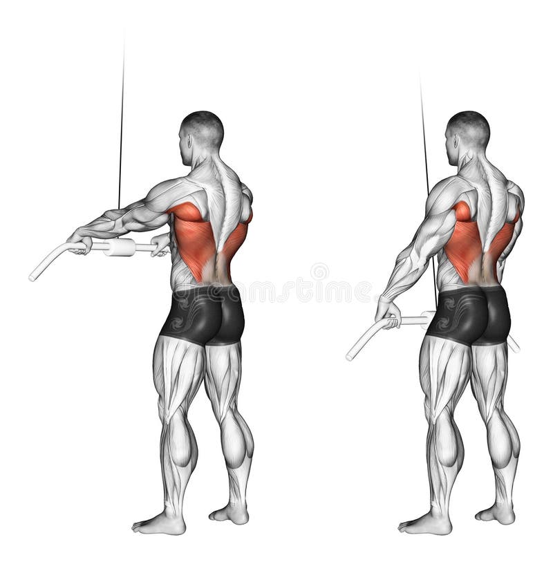 Exercising. End of the Upper Block Straight Arms Stock Illustration ...