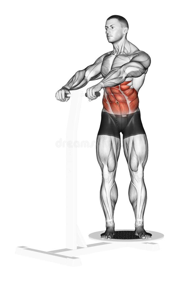 Exercising. The Rotation Of The Trunk, Standing On Stock Illustration ...