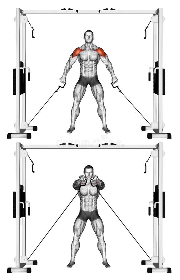 Exercising. Shoulders Cable Raise Front Stock Illustration ...