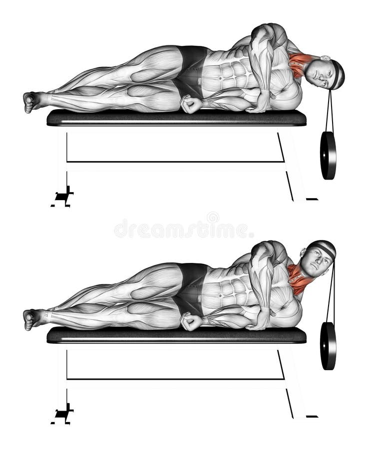 Exercising. Side Lifting Head Lying Stock Illustration - Illustration ...