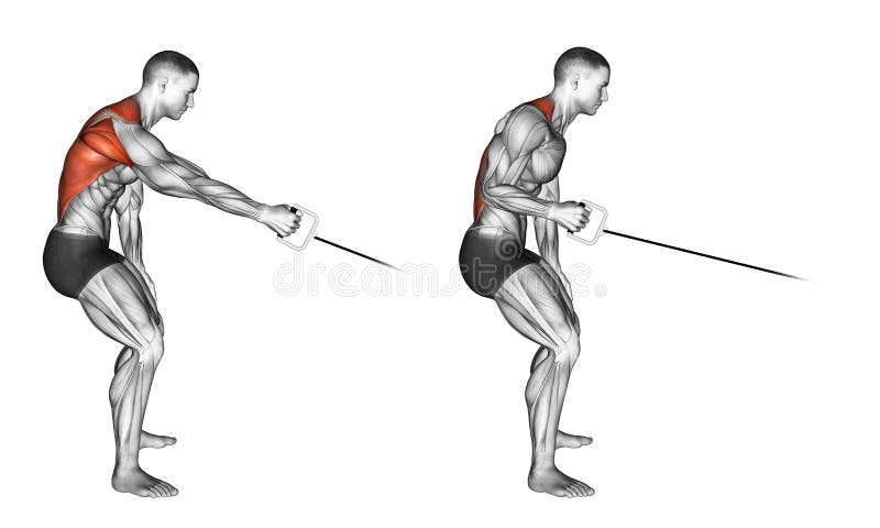 Exercising. Standing One Arm Cable Row Stock Illustration ...