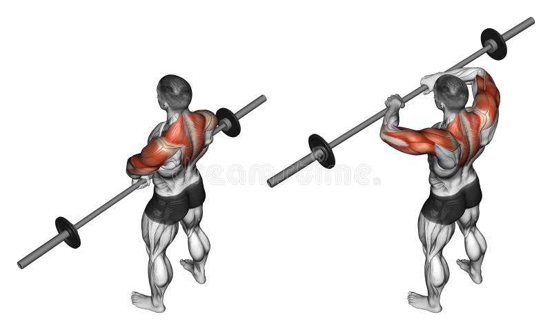 Exercising. Vertical Rods with the Rod Stock Illustration ...