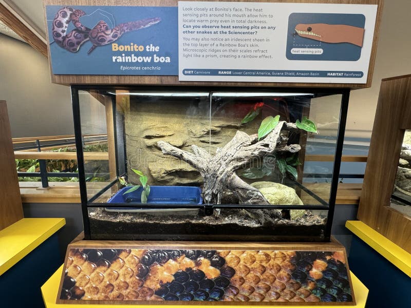 Exhibit at the Sciencenter in Ithaca, New York Editorial Stock Photo ...