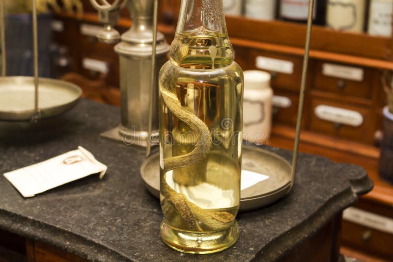 Exhibit Snake in Formaldehyde Inside the Bottle is on the Table of the ...