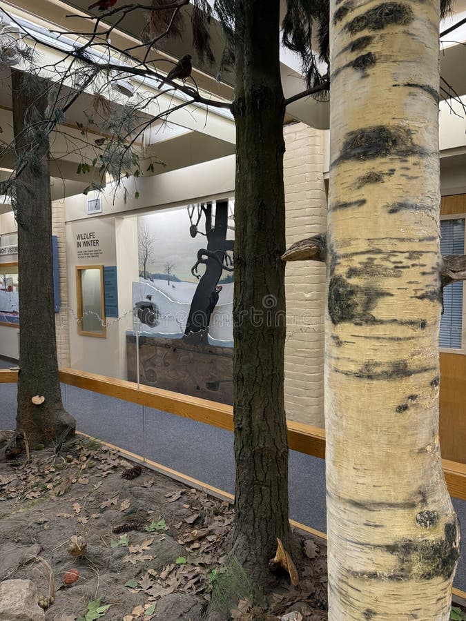 Exhibit at the Springfield Science Museum in Massachusetts Editorial ...