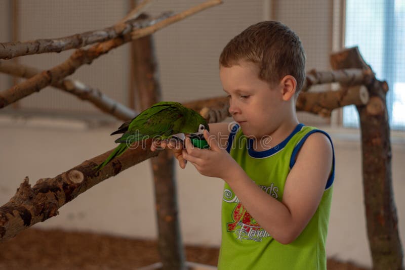 Exhibition of Carmen Parrots Polska Katowice 2018.07.21 Editorial Image ...