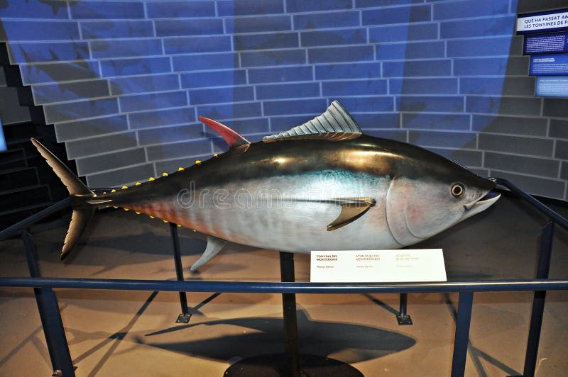 Exhibition Mediterranean-cosmocaixa Editorial Stock Photo - Image of ...