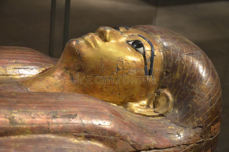 Exhibition of Mummies, Artifacts and Egyptian Finds at the Egyptian ...
