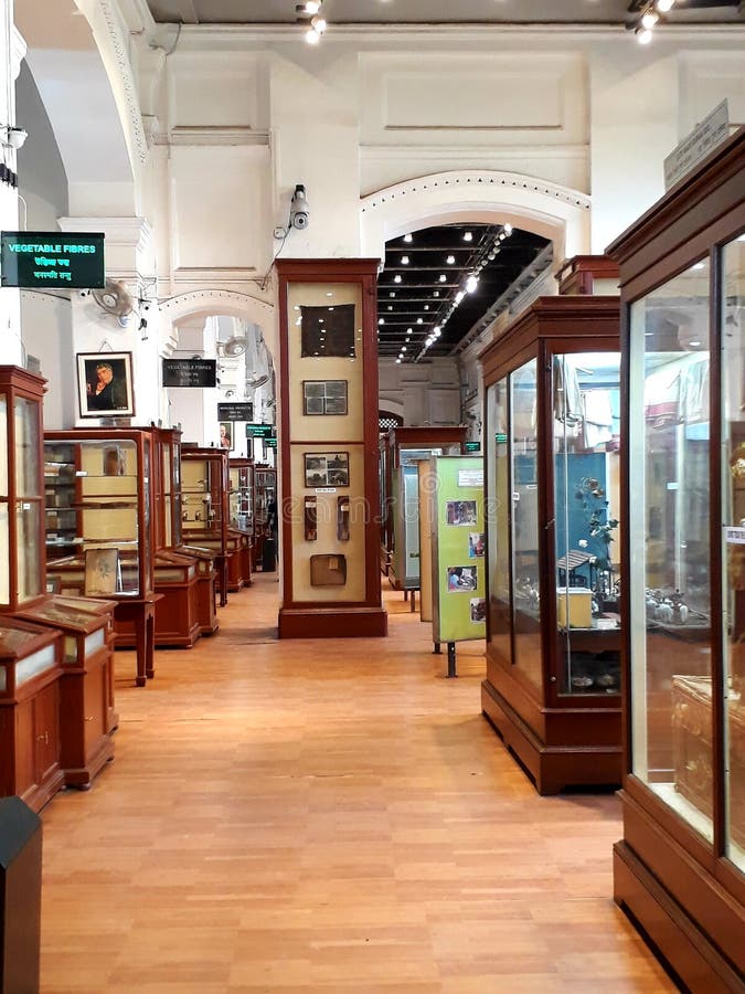 Exhibits at Indian Museum in Kolkata Editorial Image - Image of statue ...