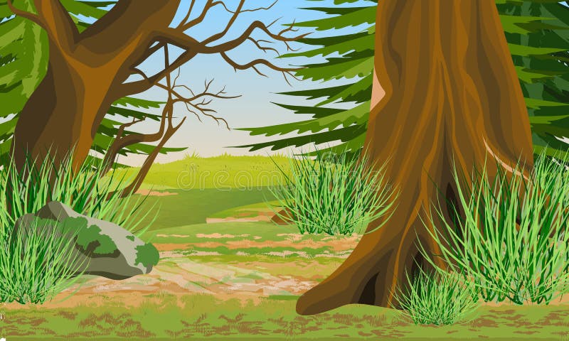 Exit from the Forest To the Field or Meadow. Grass, Stones, Tree Trunks ...