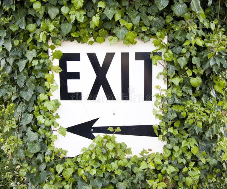 Exit sign with ivy stock image. Image of outside, plant - 31302077