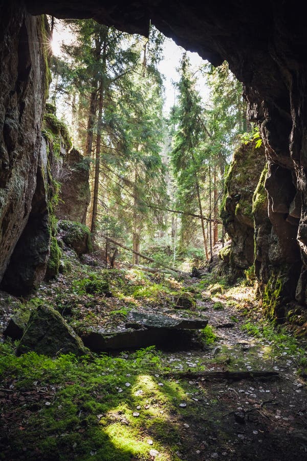 Exit To the Forest from Dark Rocky Cave Stock Photo - Image of cavern ...