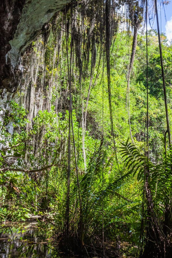 Exit from the Water Cave in the Jungle To a Small Lake Surrounded by ...