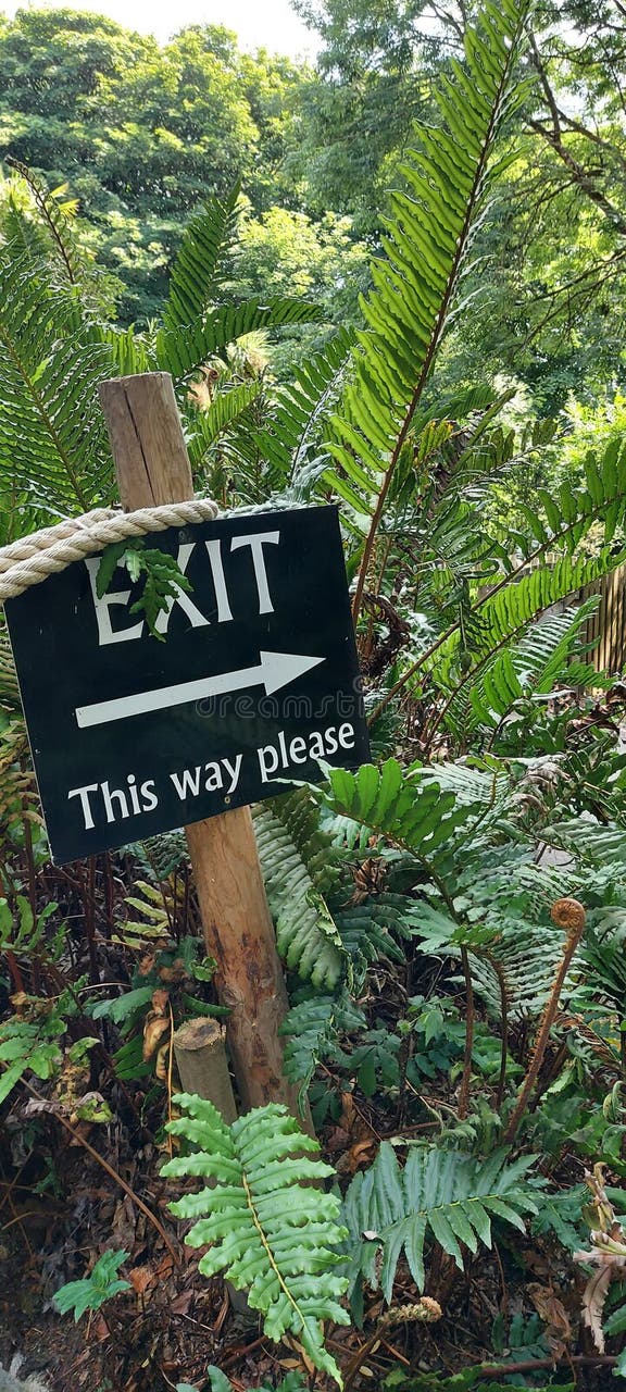 Exit this way please sign. stock image. Image of woodland - 251732449