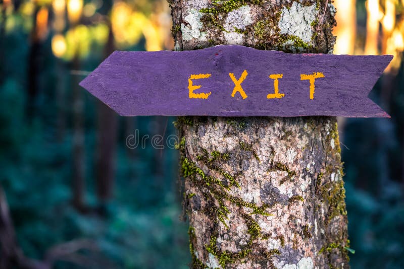 Exit Wooden Sign is on Tree in the Forest Stock Image - Image of risky ...