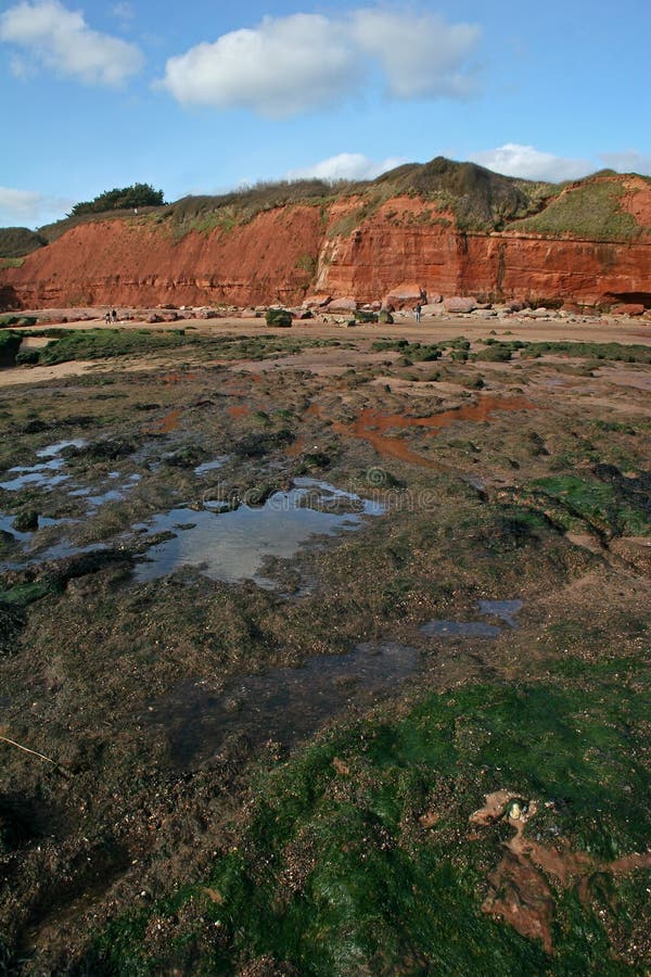 Exmouth Klippen und Strand stockfoto. Bild von sandstein - 14454386