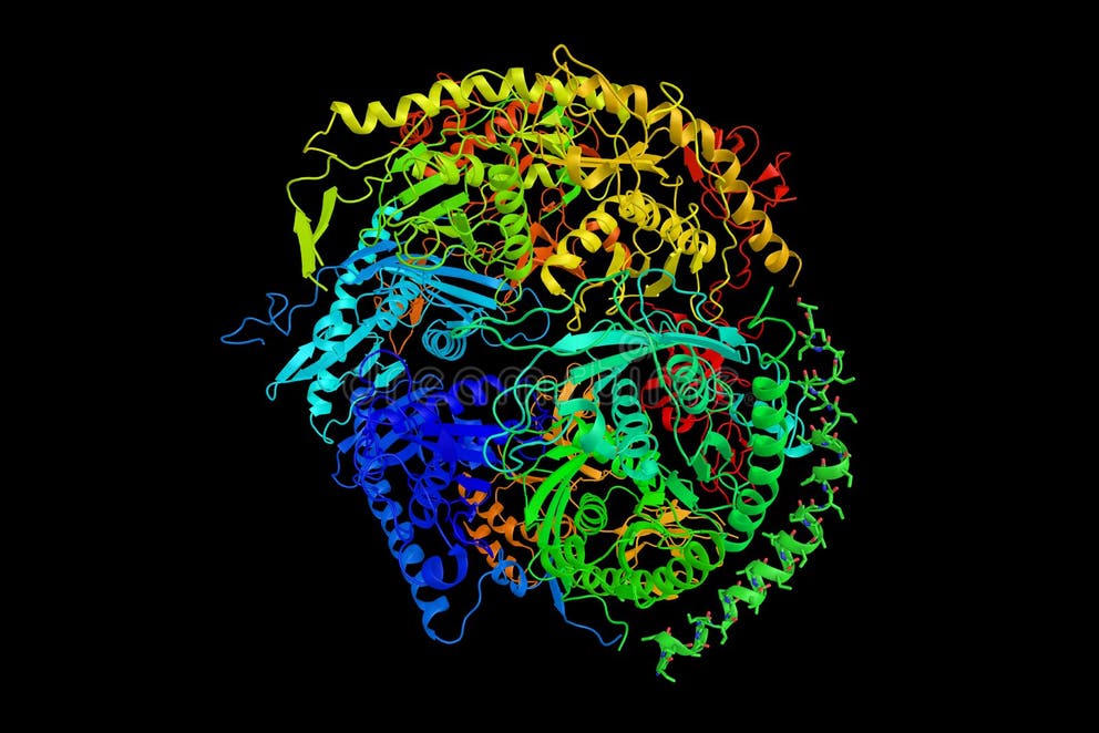 Exosome Component Stock Illustrations – 1 Exosome Component Stock ...