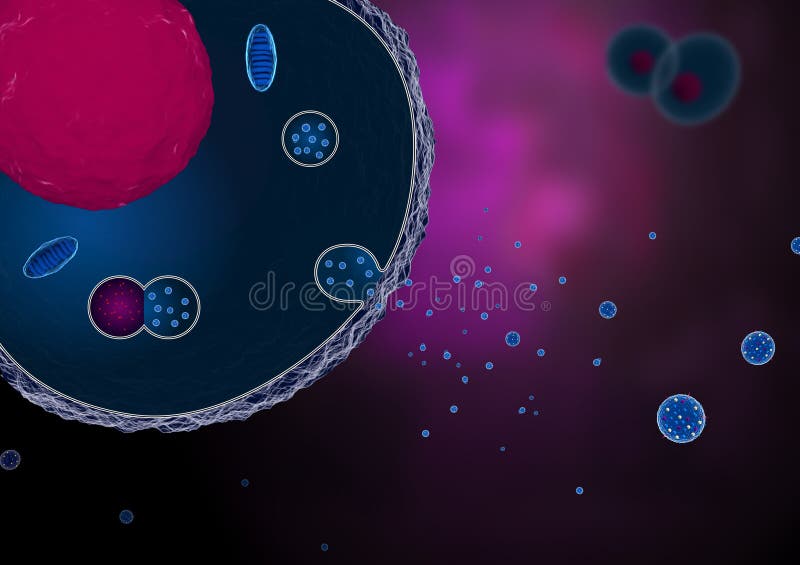 Exosomes stock illustration. Illustration of cytoplasm - 137040266
