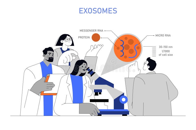 Exosomes. Flat Vector Illustration Stock Vector - Illustration of ...
